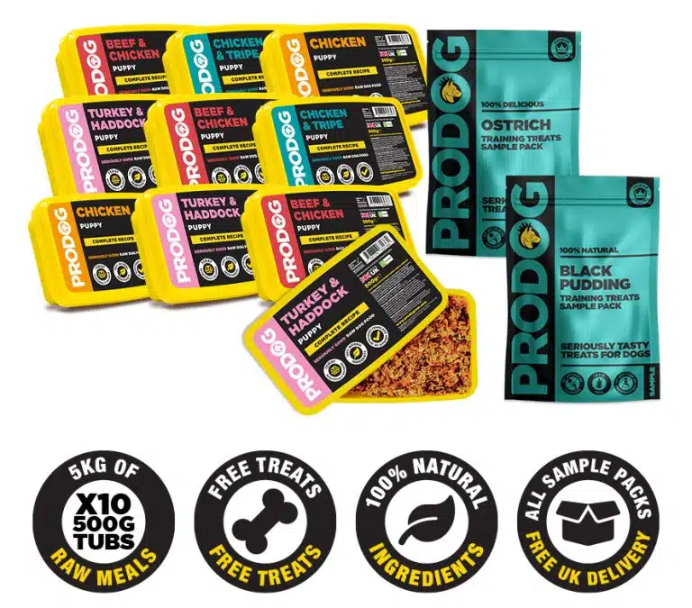 Sample Packs: Raw Food & Treats for Dogs - ProDog Raw