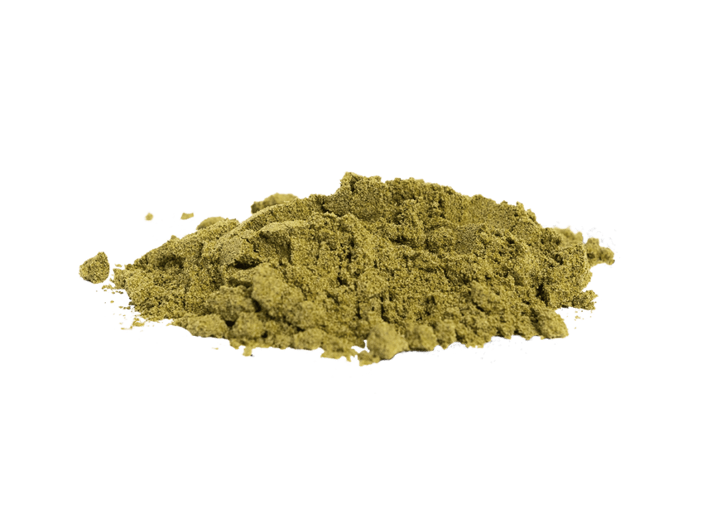 Skin & Coat Supplements For Dogs | SHINE