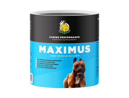 Dog Performance Supplements | MAXIMUS