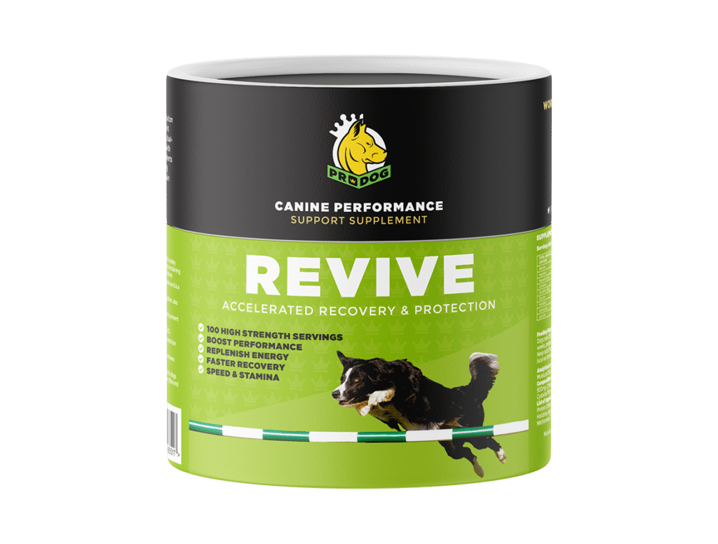Recovery & Stamina Supplements For Dogs | REVIVE