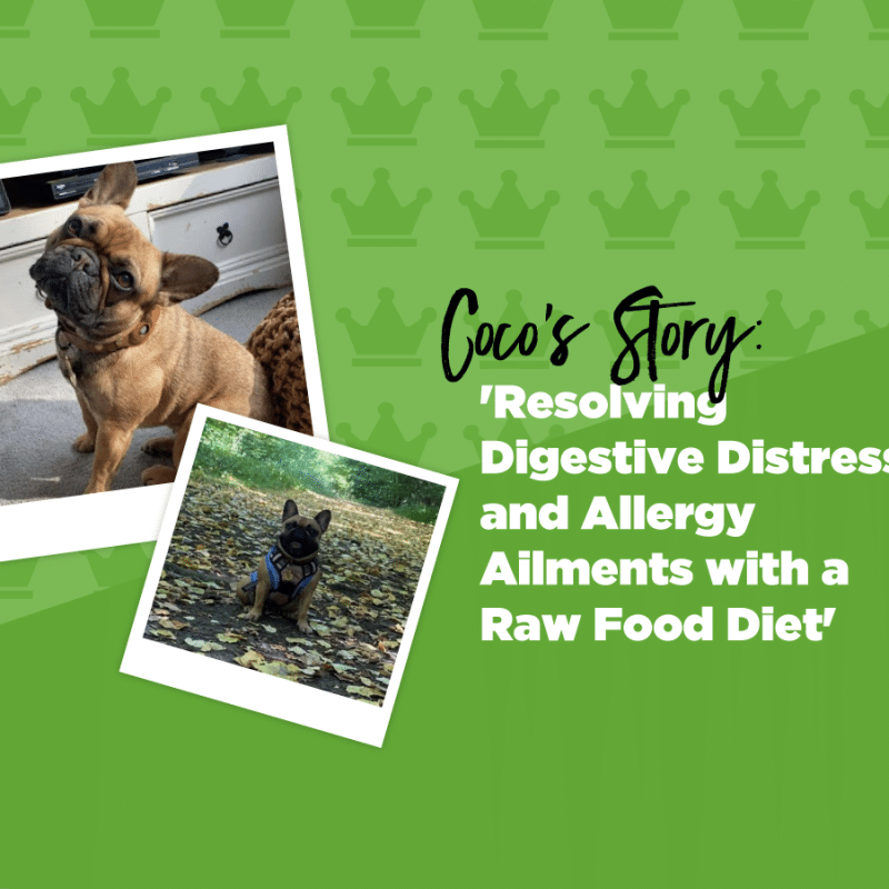 Resolving Digestive Distress & Allergy Ailments With A Raw Food Diet