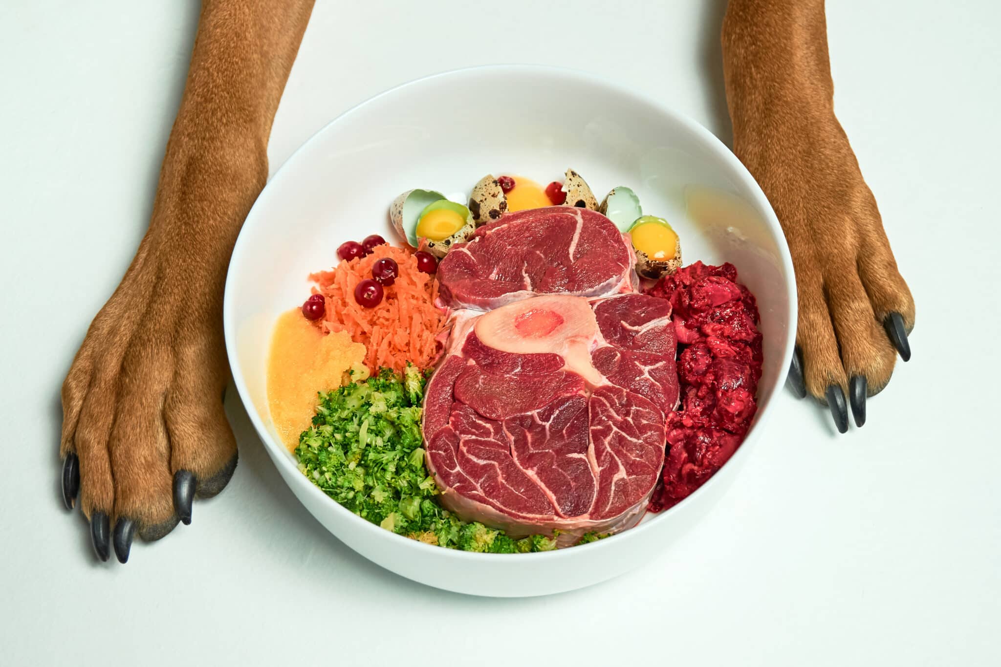 The Truth About Fats for Dogs: The All-You-Need-to-Know Guide - ProDog Raw