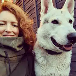 Pumpkin For Dogs | 6 Benefits & How To Feed It | ProDog Raw