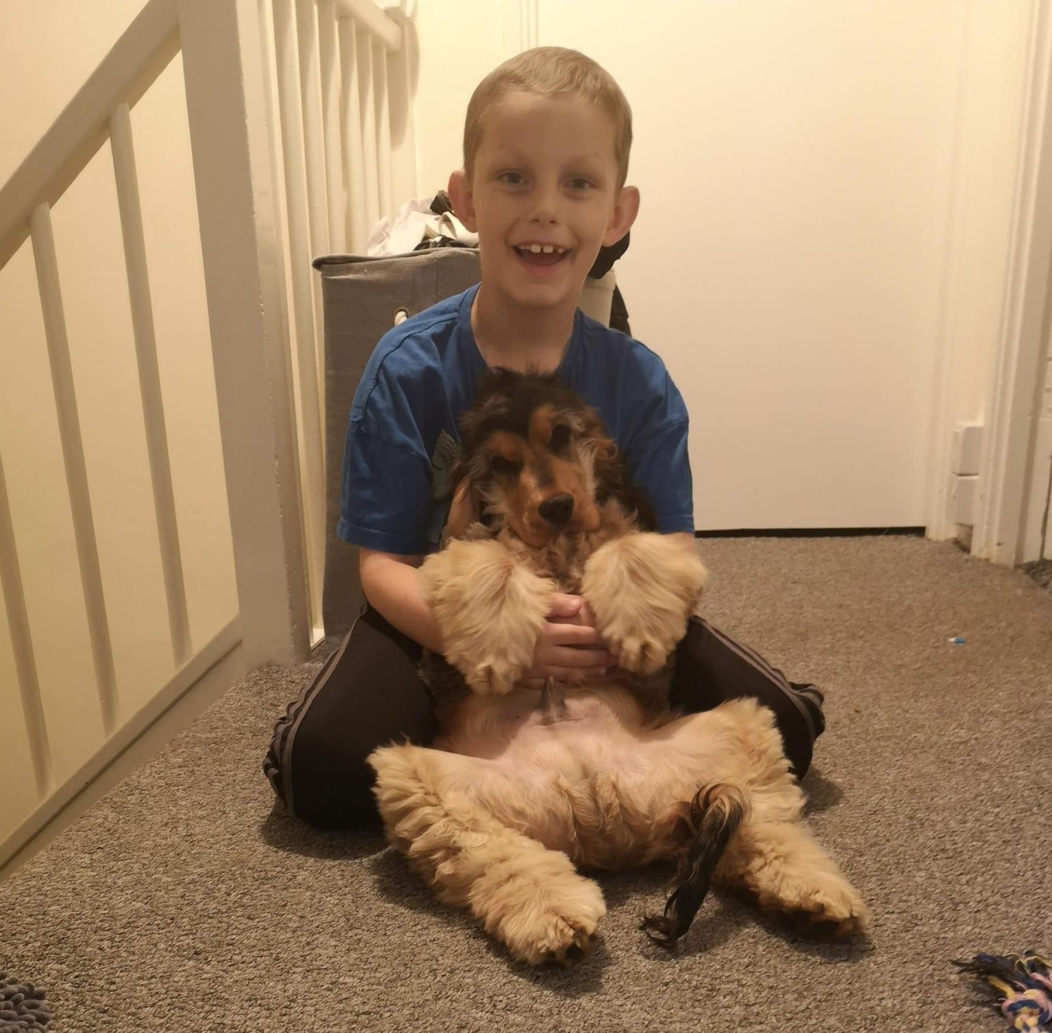 Logan the Life-Changing Assistance Dog