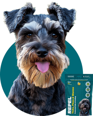Tick, Flea, Worm & Mite Repellent Supplement For Dogs - Vet Approved