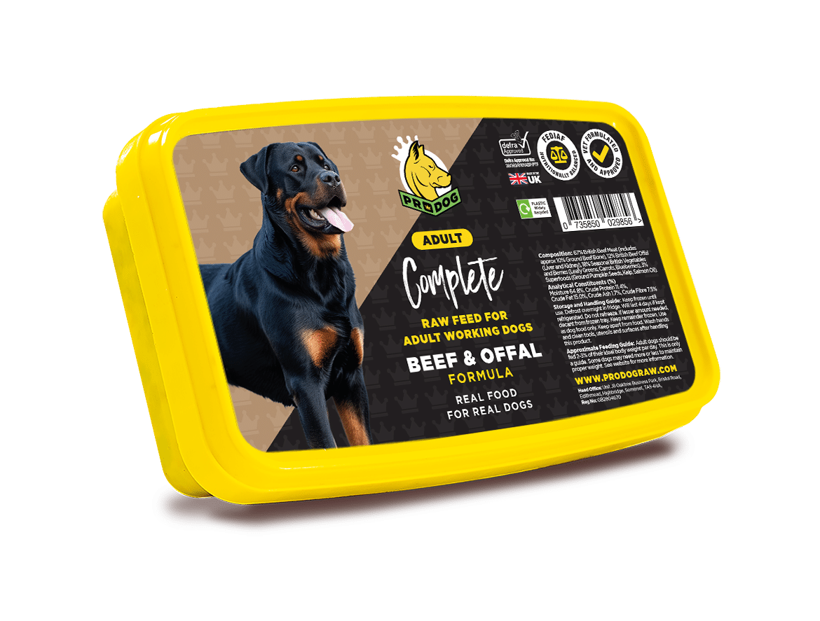 Beef Complete Raw Dog Food | Premium Meal | ProDog Raw