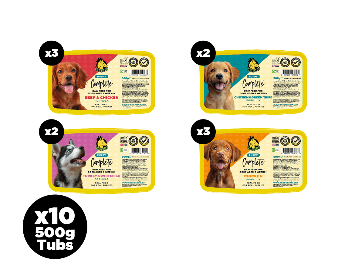 Sample Packs: Raw Food & Treats for Dogs - ProDog Raw