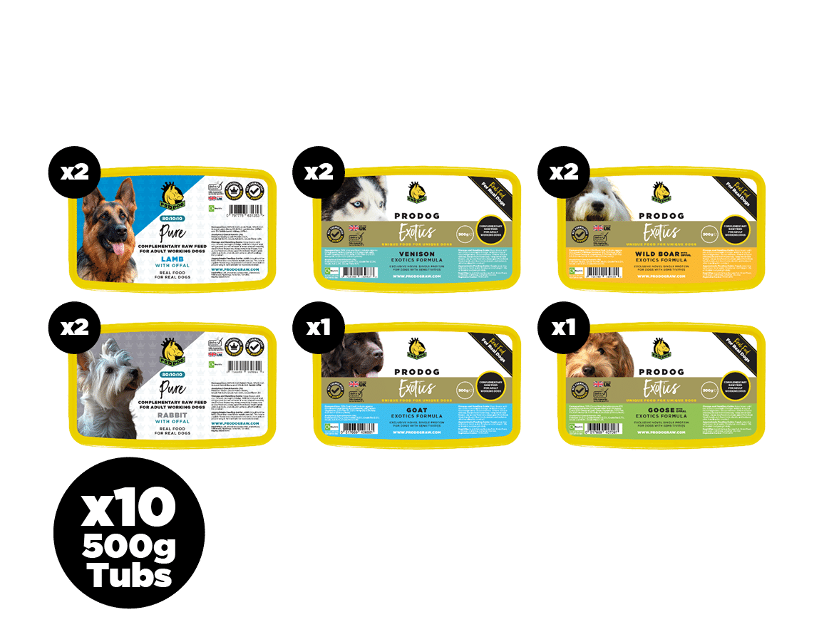 Sample Packs: Raw Food & Treats for Dogs - ProDog Raw