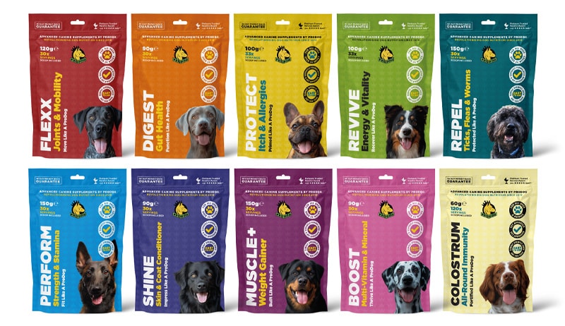 Dog Supplements & Vitamins - Vet Approved & Free UK Delivery