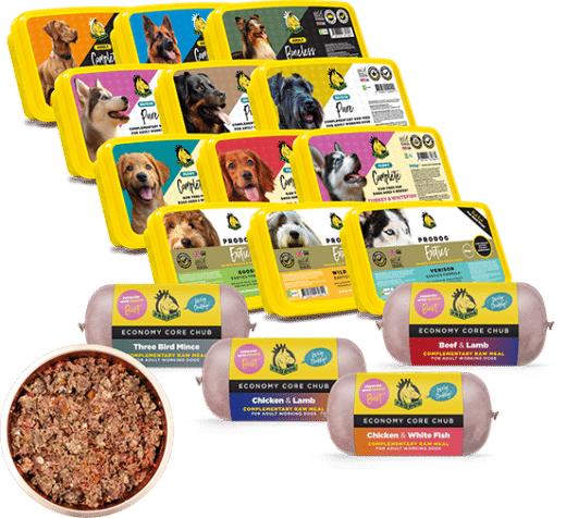 Basenji Feeding Guide | Dog Feeding Guide | ProDog Raw