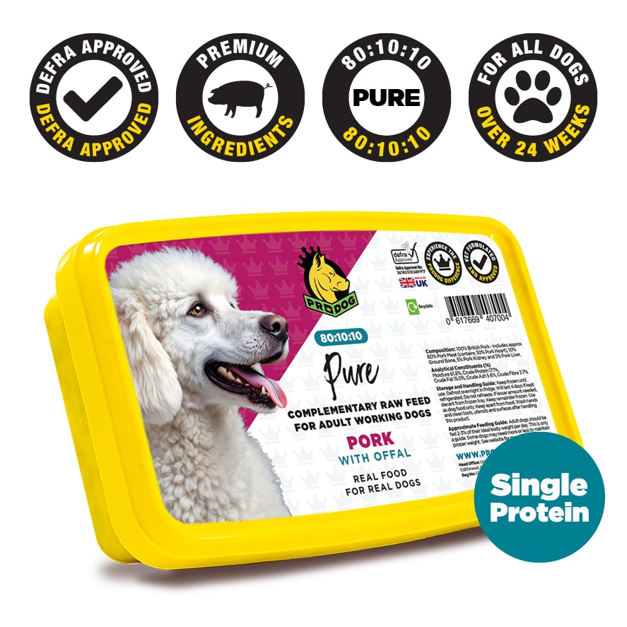 Pork 80/10/10 Raw Dog Food Meal - ProDog Raw