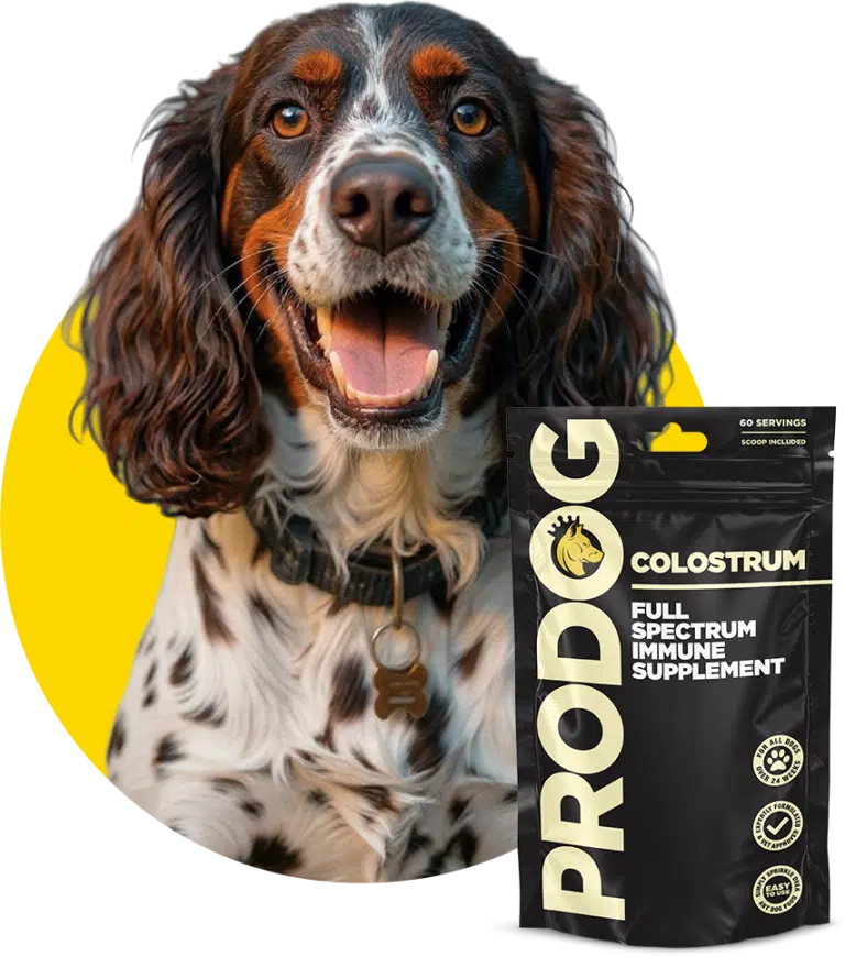 Colostrum For Dogs - Vet Approved Immune Support Supplement