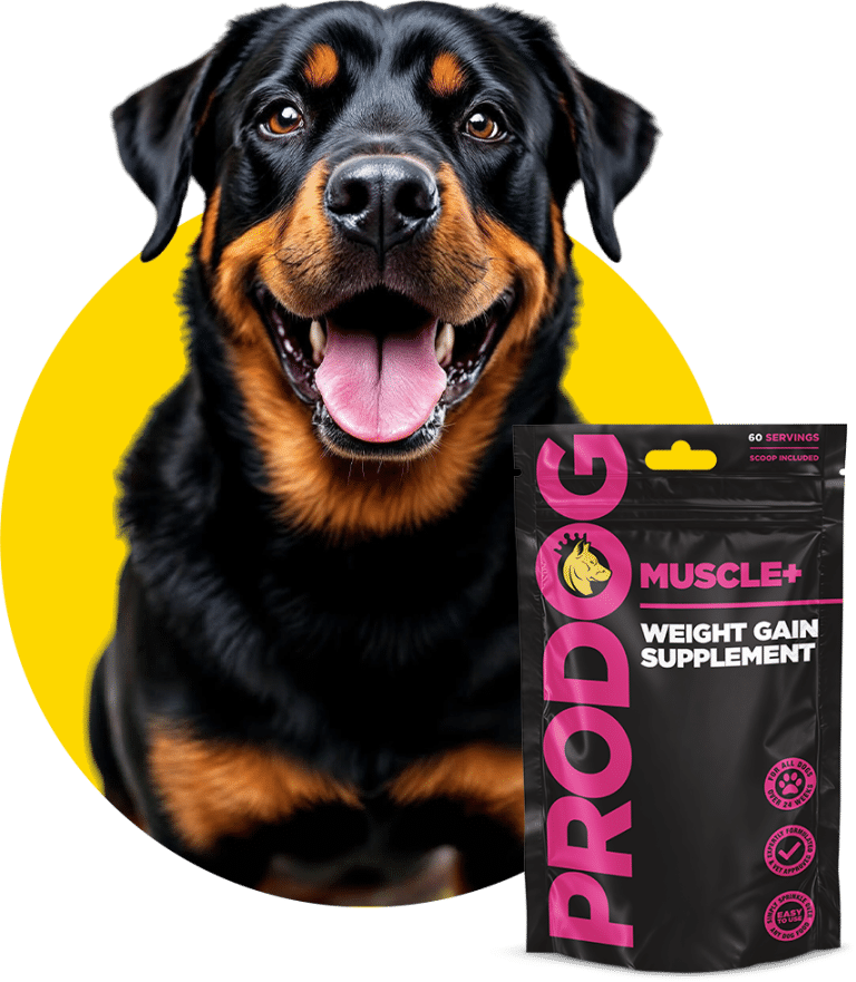 Dog Weight Gainer & Muscle Builder Supplement - Vet Approved