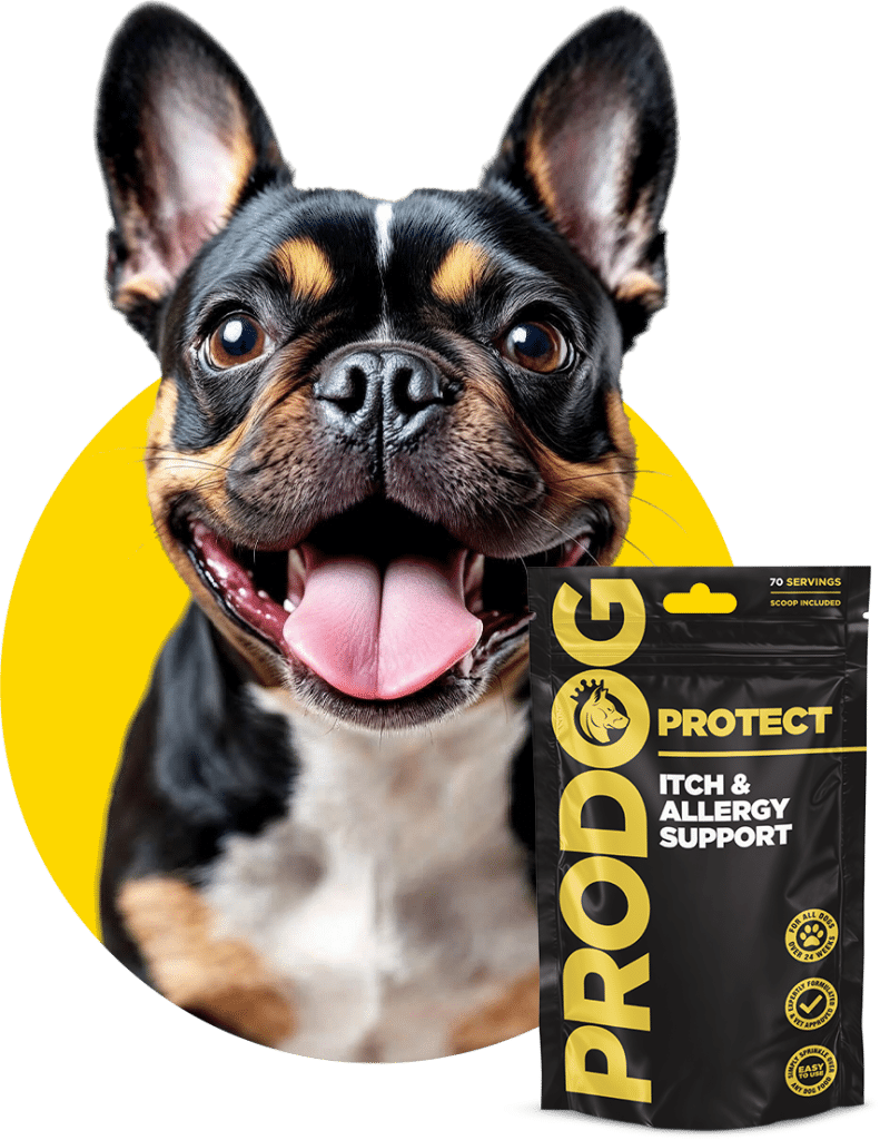Itchy Skin & Allergy Supplement For Dogs - Vet Approved