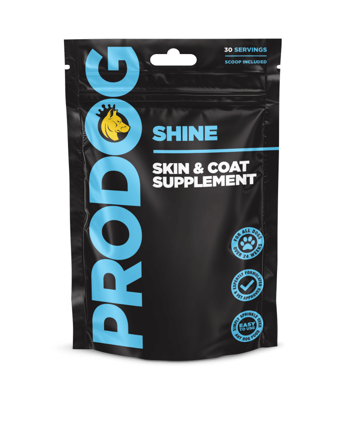 Everything You Need To Know About Biotin For Dogs - ProDog Raw