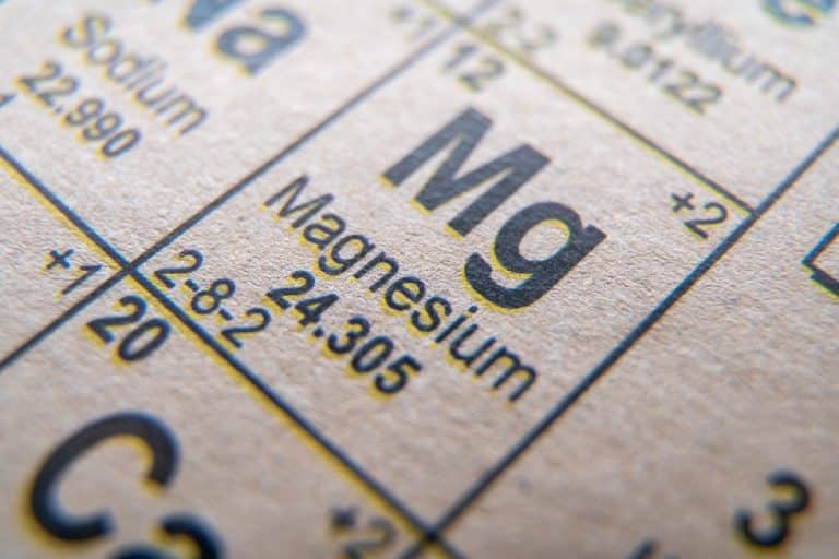 Everything To Know About Magnesium For Dogs | ProDog Raw